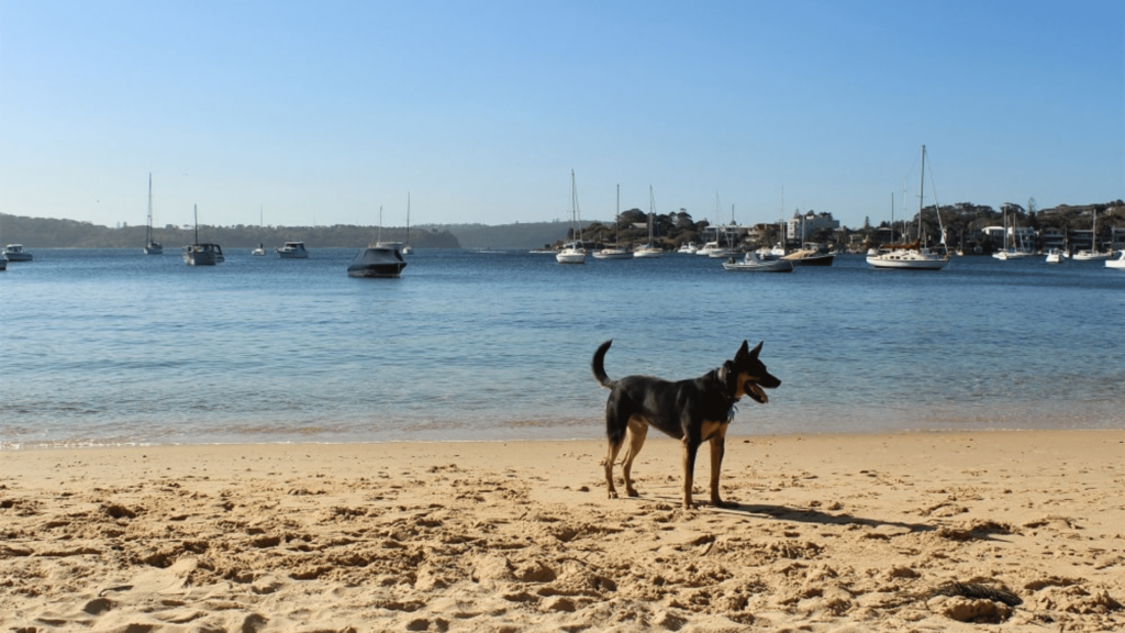 Top Swimming Spots in Sydney - Riviera Sydney Lifestyle