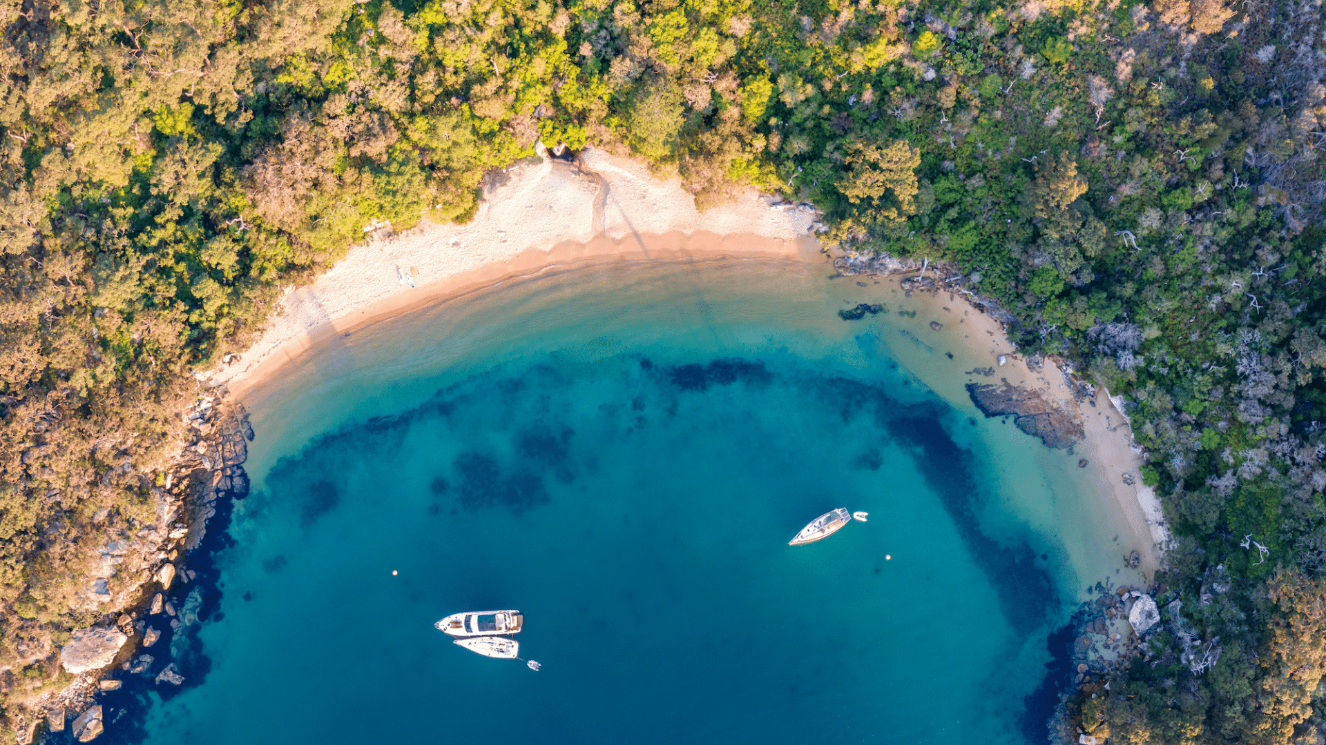 Top Swimming Spots in Sydney - Riviera Sydney Lifestyle